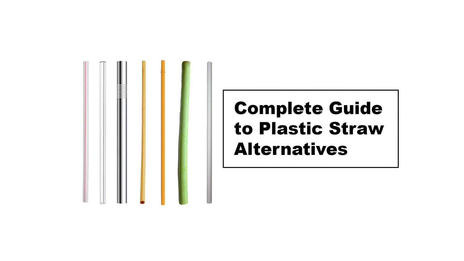 Best Eco-Friendly Alternatives to Plastic Straws: Pros and Cons for Re ...