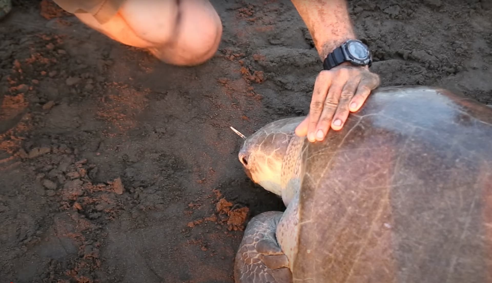 Our Story – Rigid Fiber™